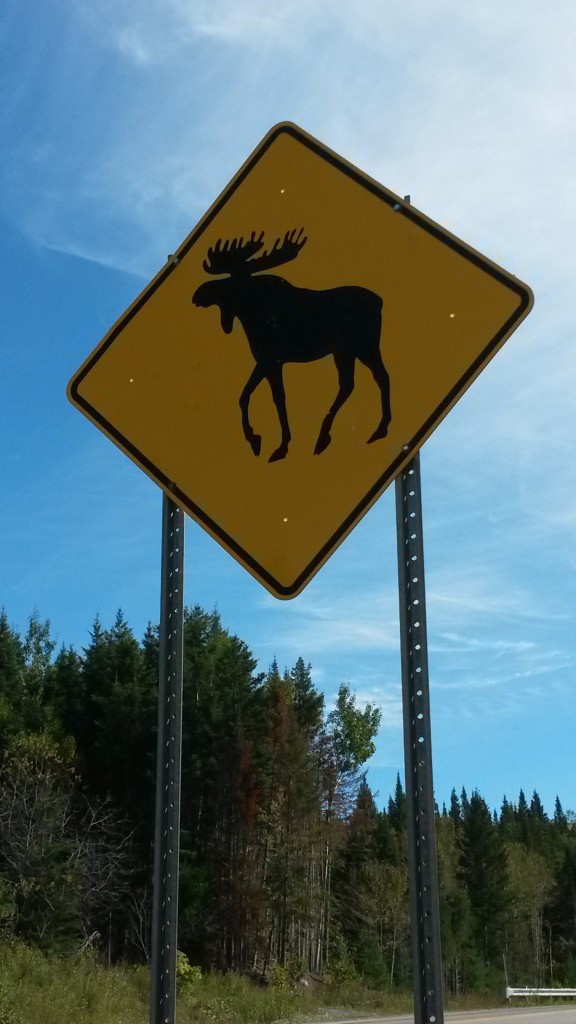 001-Sign Orignal - Toundra Voyages